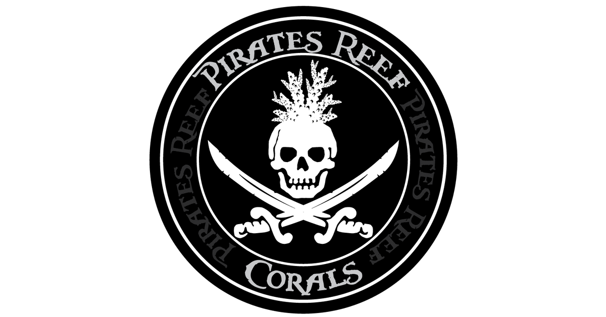 Pirates Reef Corals – Pirates Reef Corals